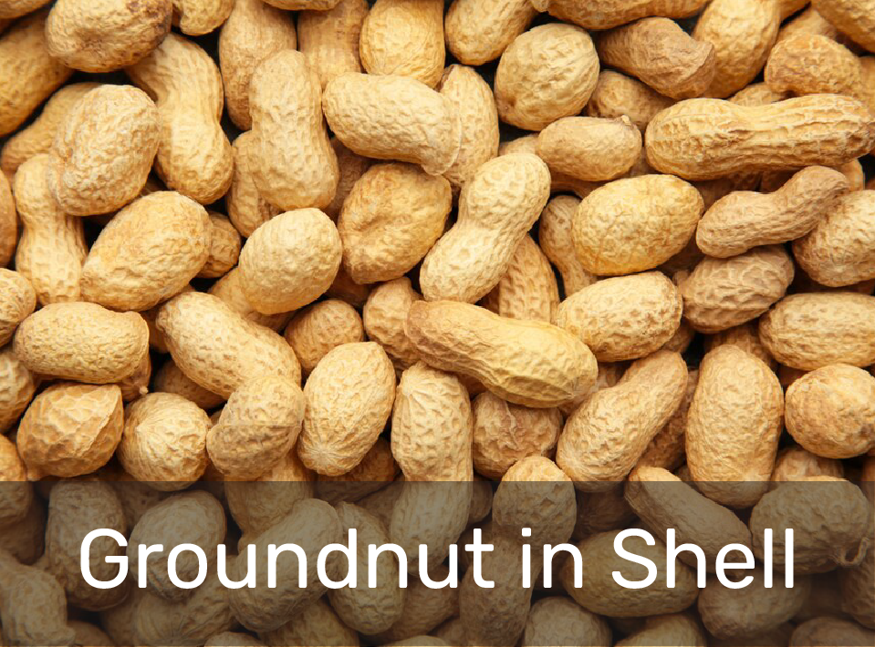 Authentic Indian groundnuts-peanuts from Gujarat | Tested certified ...